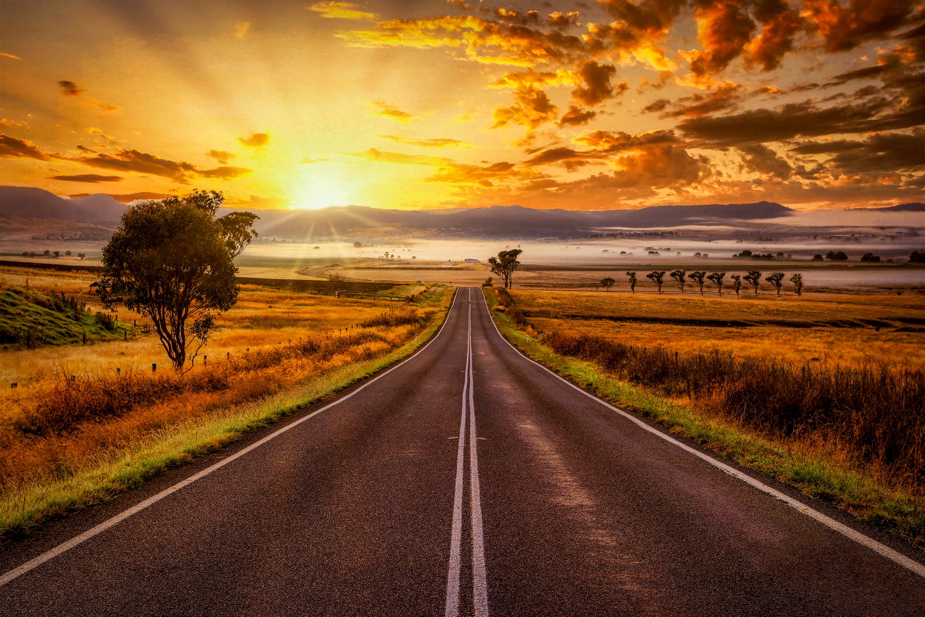Warwick Queensland - Visit, Stay & Enjoy – Warwick Chamber of Commerce