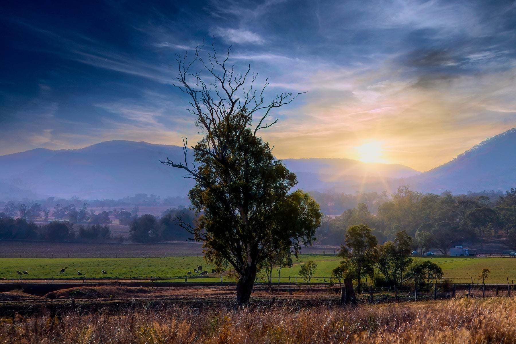 Warwick Queensland - Visit, Stay & Enjoy – Warwick Chamber of Commerce